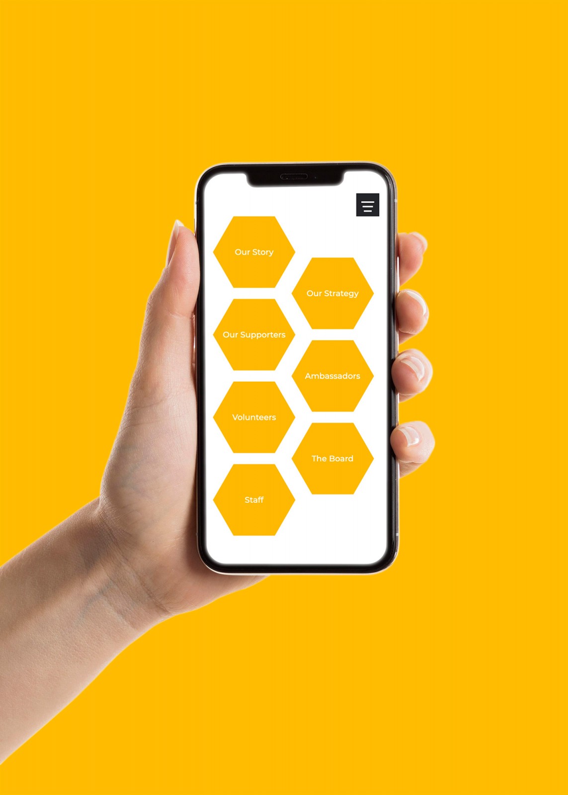 Mikeysline :: Aurora Design Studio